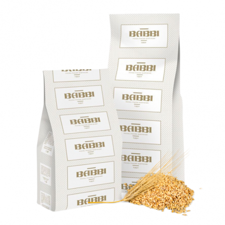 1 kg FIBRA PLUS 1470171 BABBI INTEGRATOR DO LODÓW